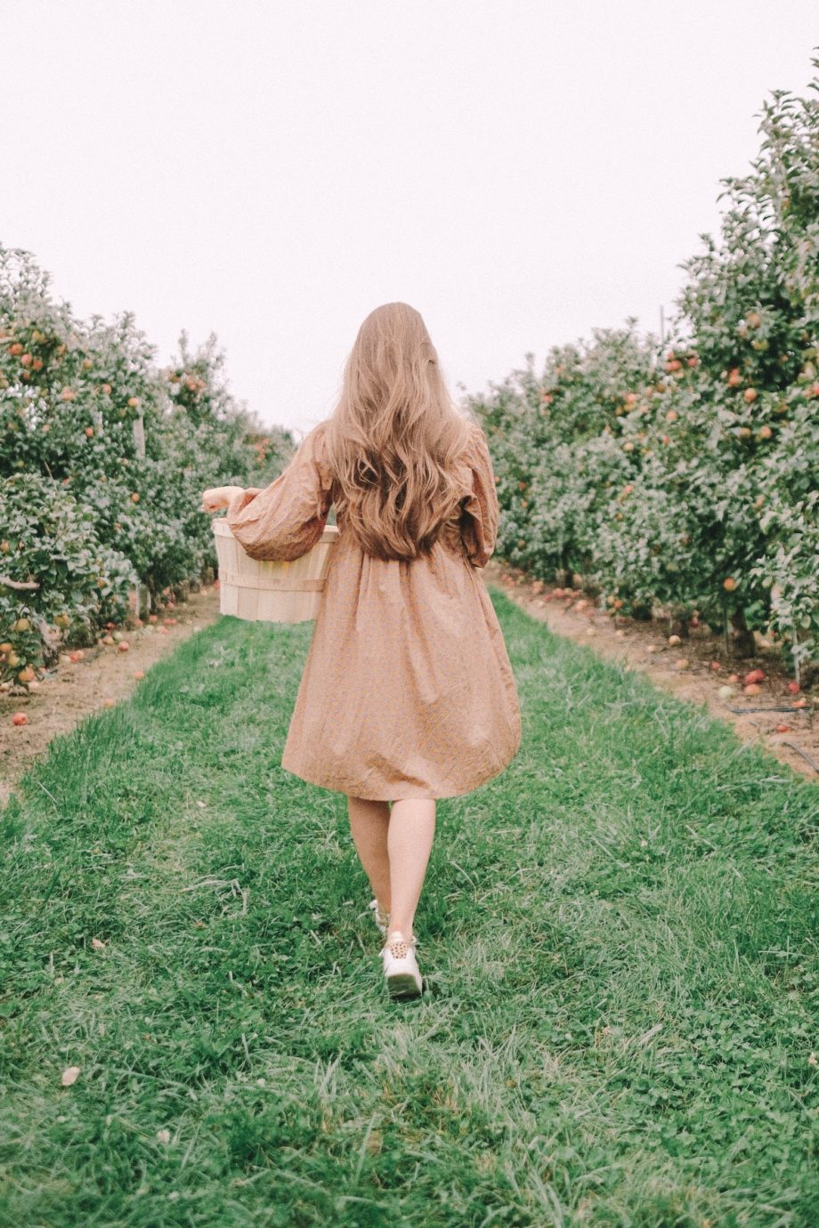 Edward's Apple Orchard | Miss Madeline Rose